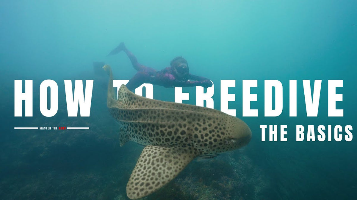 HOW TO FREEDIVE - INTRODUCTION TO FREEDIVING – Huntmaster Store